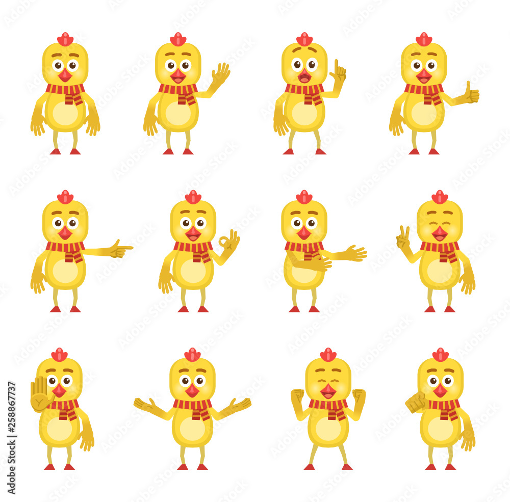 Set of cartoon chicken characters showing diverse hand gestures. Funny ...