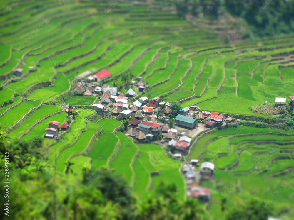 Panorama Picture of the ancient rice terraces in Banaue Ifugao Province ...