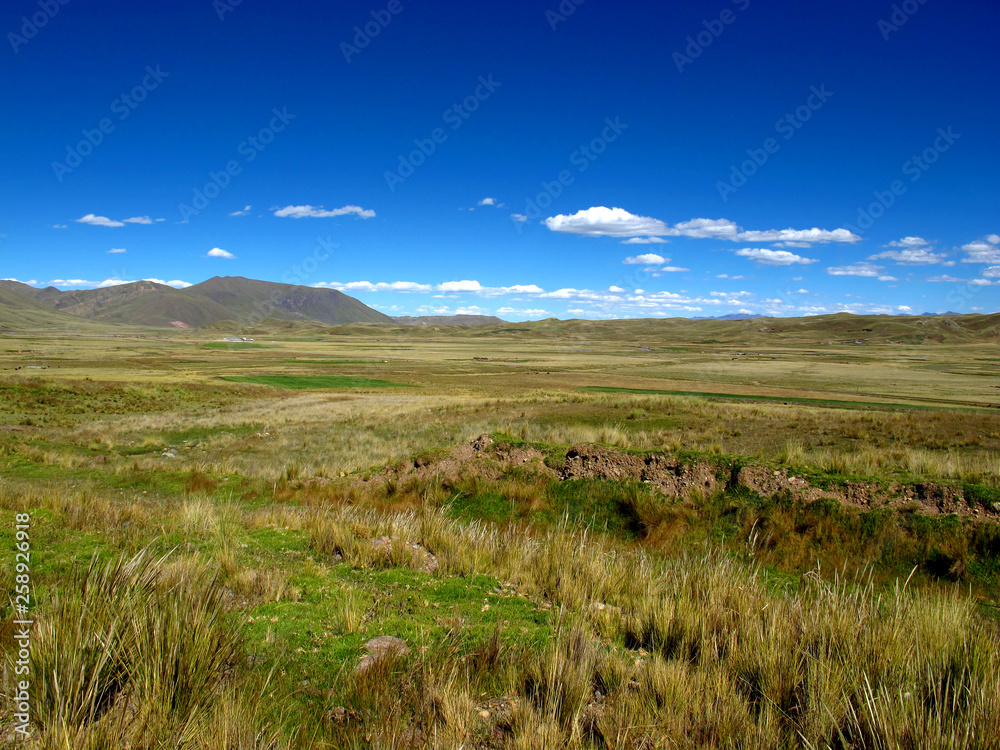 Andean Plateau