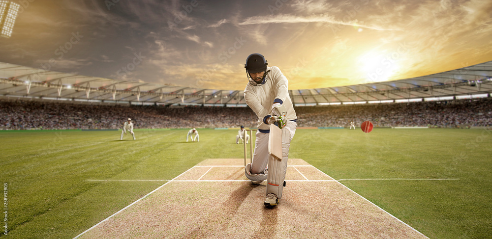 Young sportsman batting in the cricket field Stock Photo | Adobe Stock