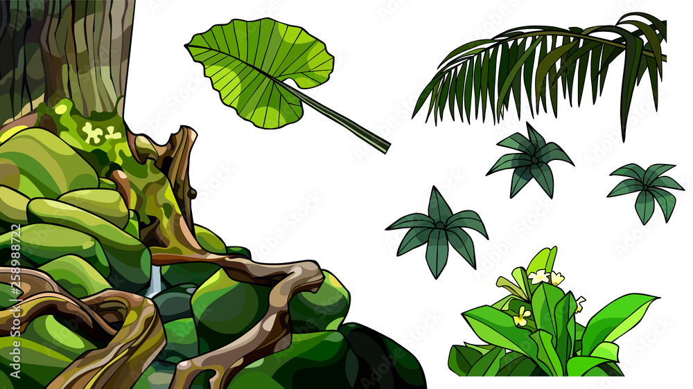 set of elements of cartoon plants of leaves of roots Stock Vector ...