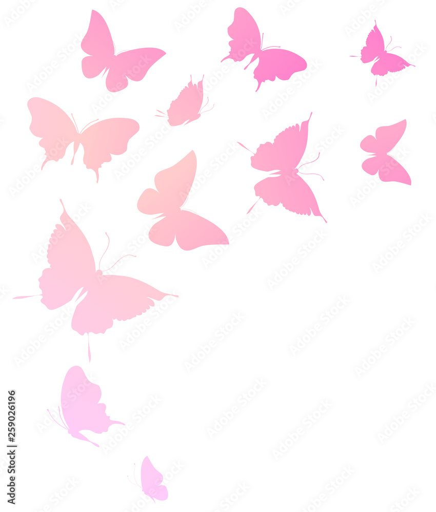 beautiful pink butterflies, isolated on a white Stock Vector | Adobe Stock