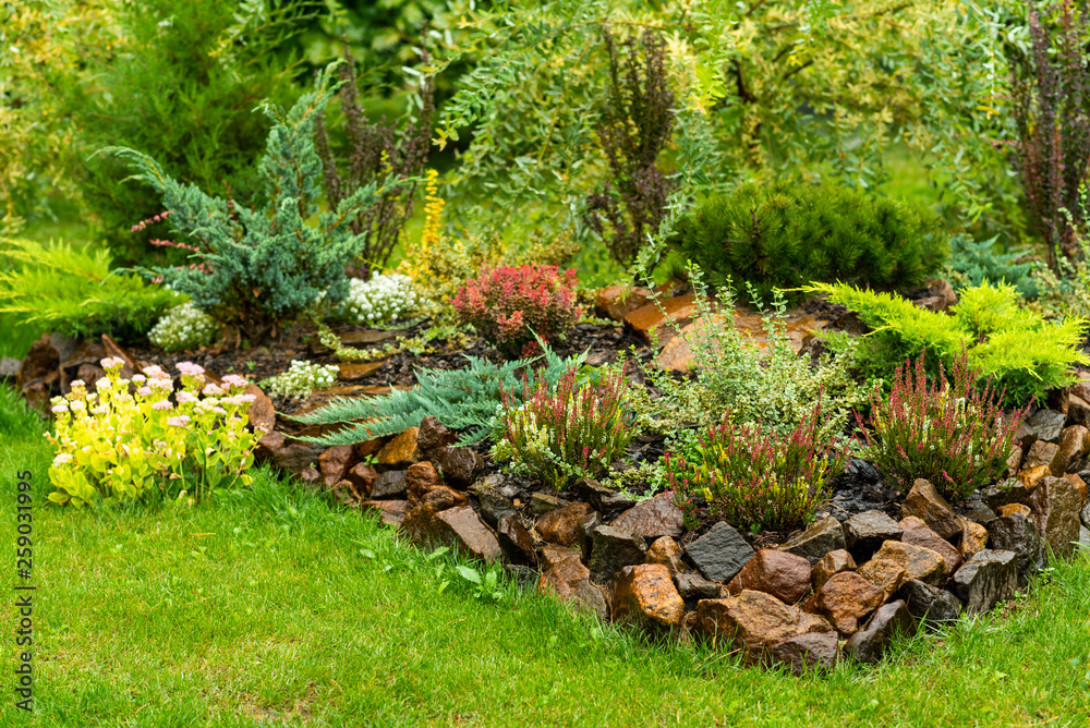 flower bed with flowers in landscape design after the rain Stock Photo ...