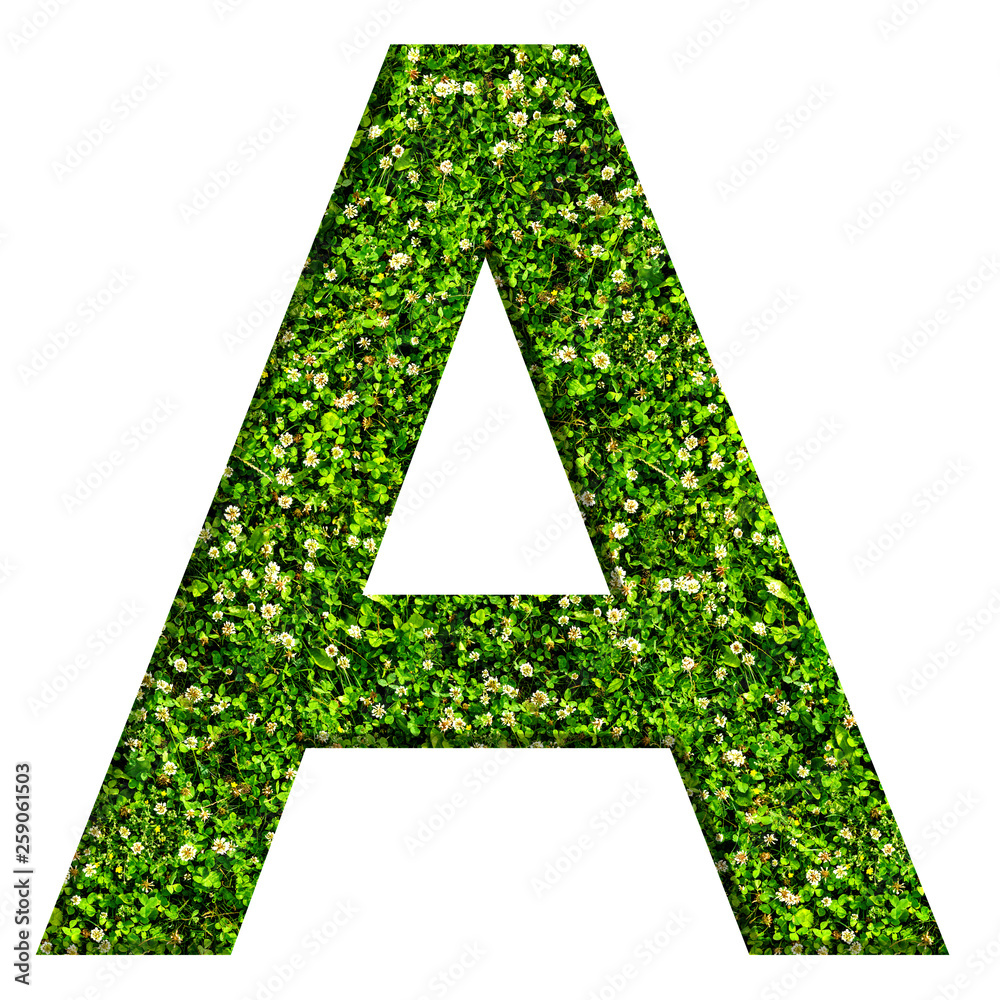 Alphabet letter A made of green grass and clovers. Letter isolated on ...