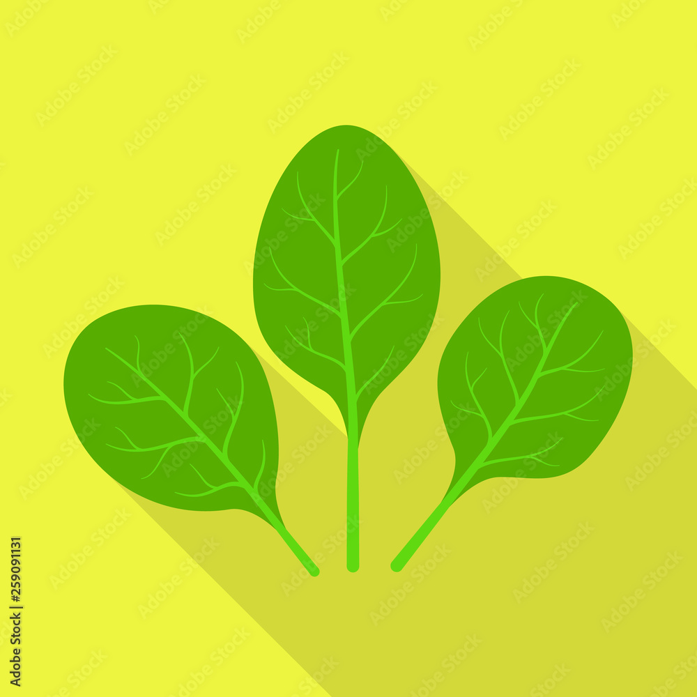 Spinach Vector