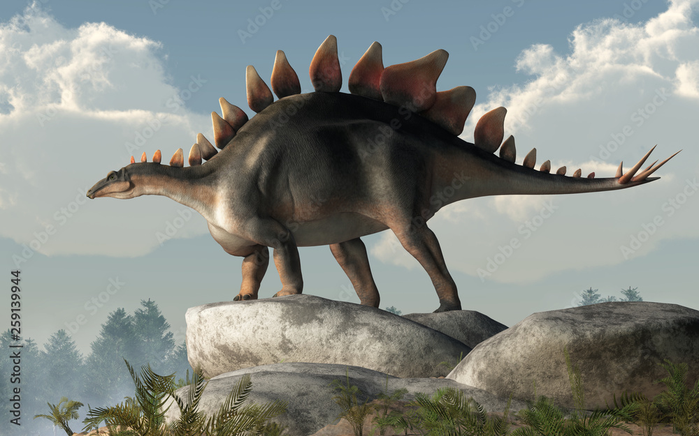 Stegosaurus, was a thyreophoran dinosaur. An herbivore, it is one of ...