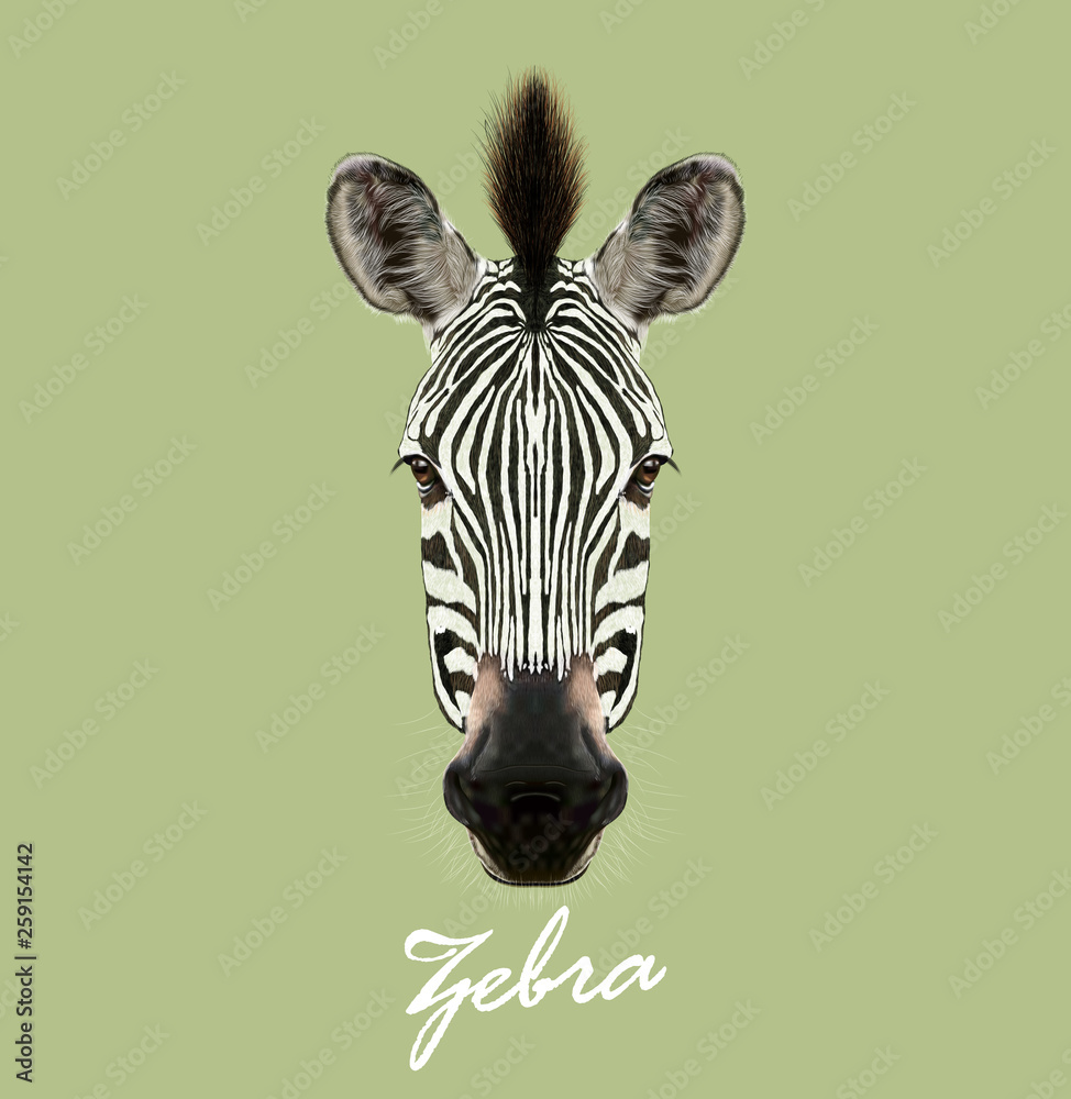 Zebra wild animal face. Vector cute African safari black and white ...