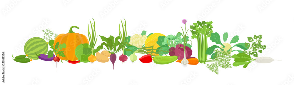 Fruits And Vegetables Header
