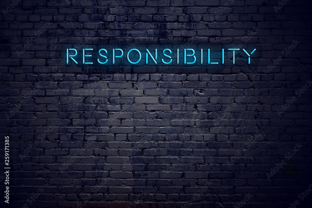 Brick wall and neon sign with text responsibility Stock Illustration ...