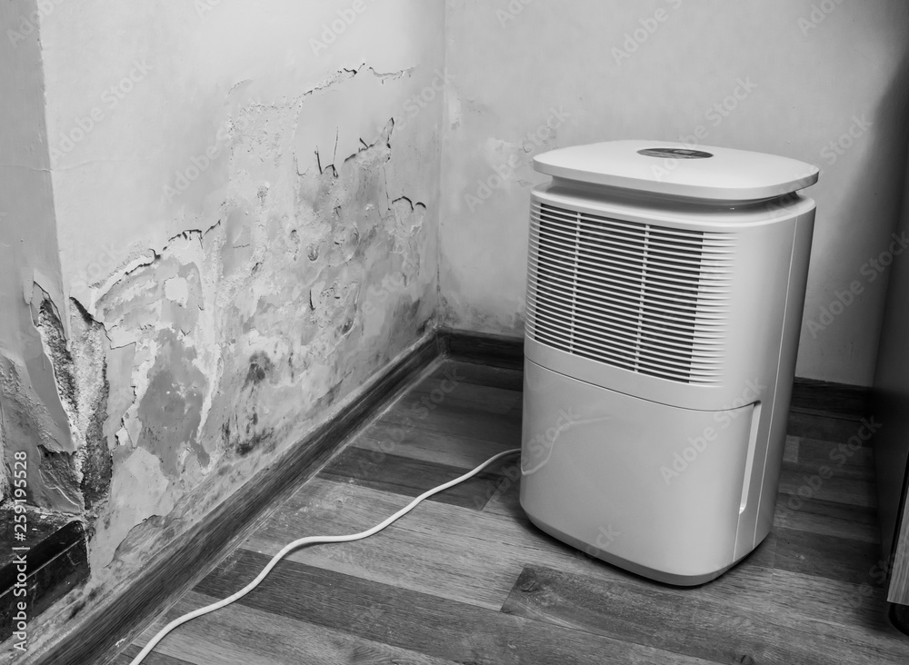 Home dehumidifier and air purification device for mold and toxic fungus ...