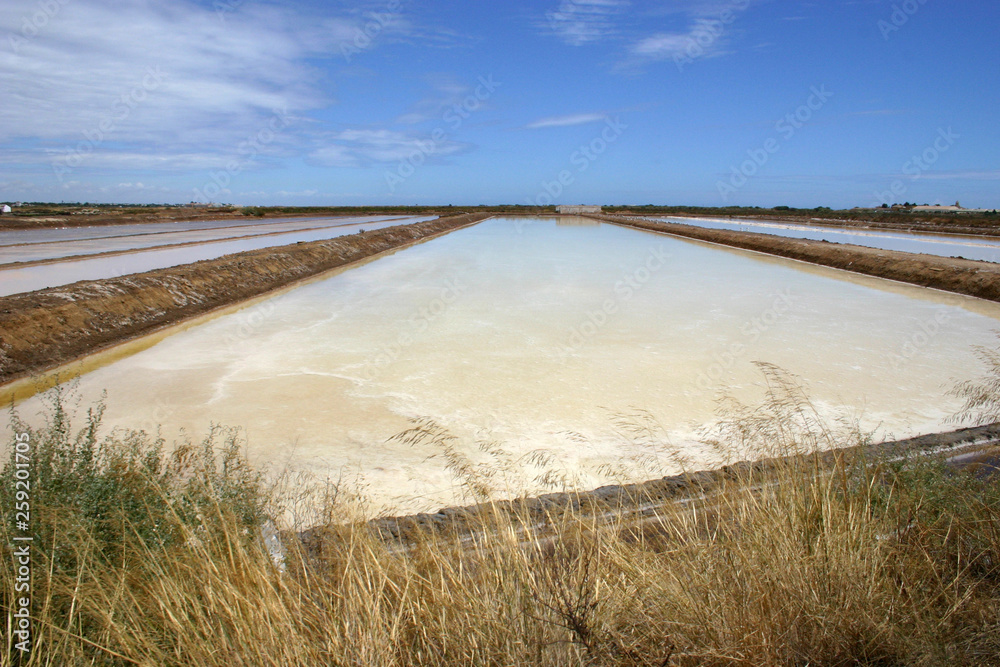 Scenery of a salt production, a salt garden in Portugal Stock Photo ...