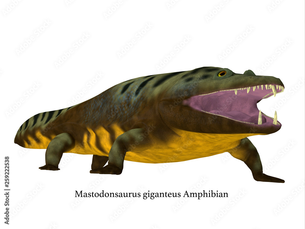 Mastodonsaurus Amphibian on White with Font - Mastodonsaurus was an ...
