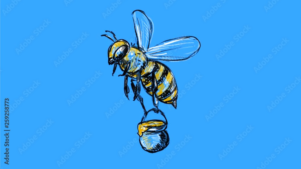 2d Animation motion graphics drawing of a honeybee, bumblebee or bee ...