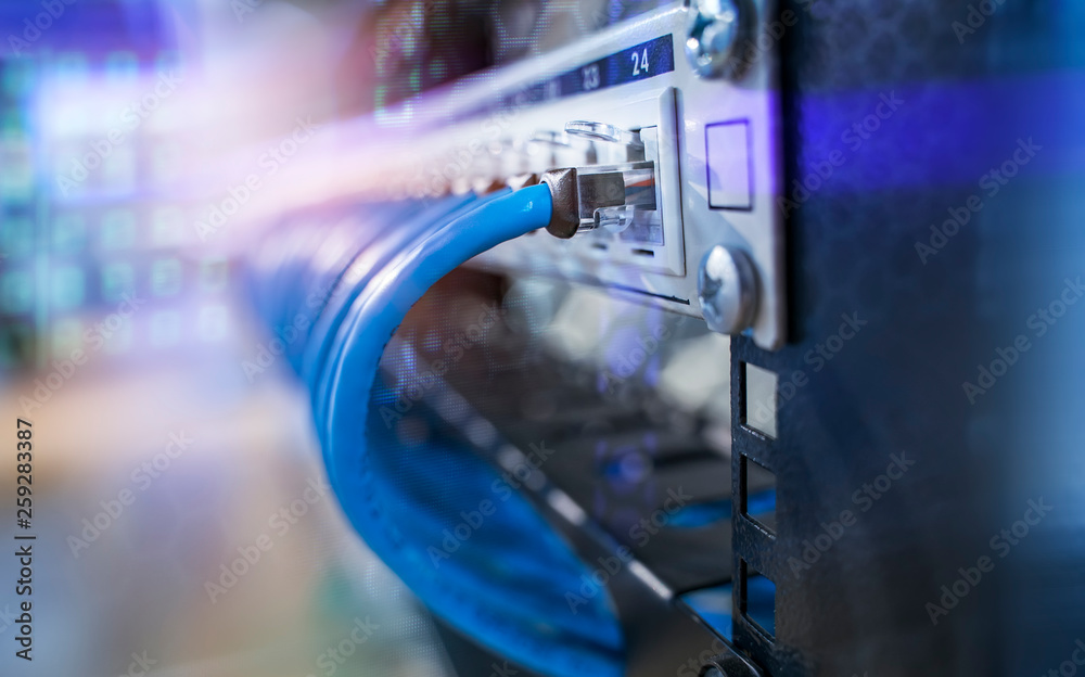 ethernet cable on network switches background Stock Photo | Adobe Stock