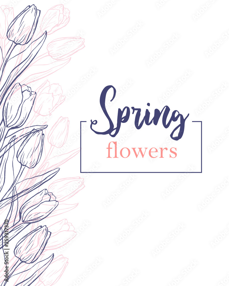 Horizontal background template with hand drawn tulips and text. Banner ...