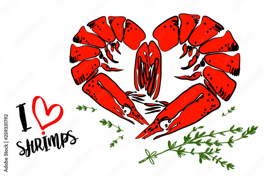 Cartoon illustration of two royal shrimps with green herbs on white ...