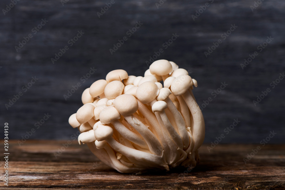 raw japanese bunapi-shimeji mushrooms Stock Photo | Adobe Stock