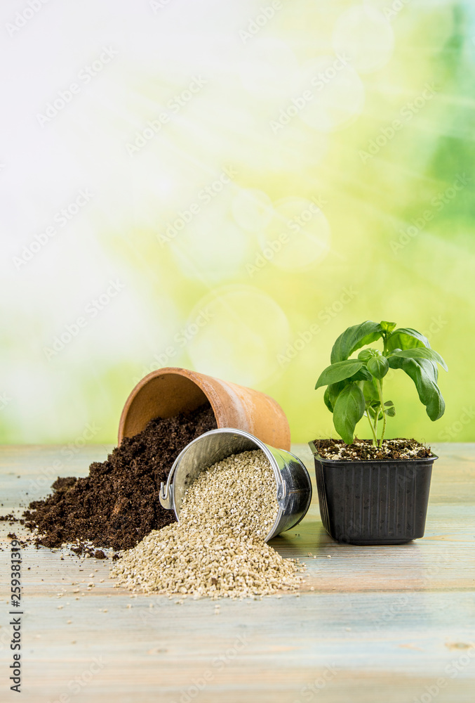 Mixing vermiculite granules pellets with black gardening soil improves ...