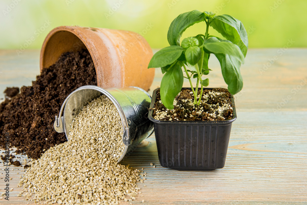 Mixing vermiculite granules pellets with black gardening soil improves ...
