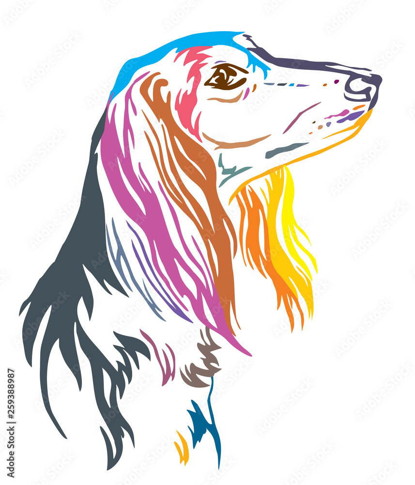 Colorful decorative portrait of Saluki Dog vector illustration Stock ...