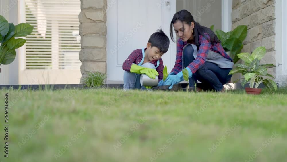 asian mom and her son planting a plant at home garden in the morning ...