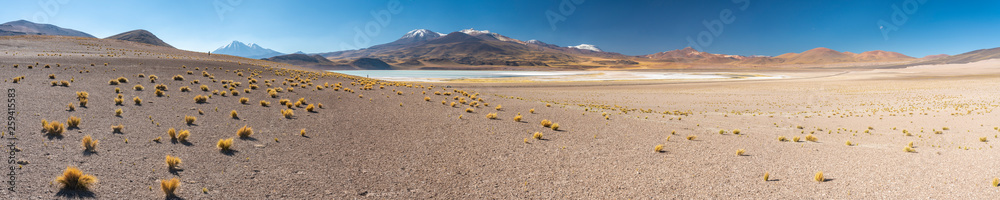 The amazing landscape views at Atacama Desert altiplano, at more than ...