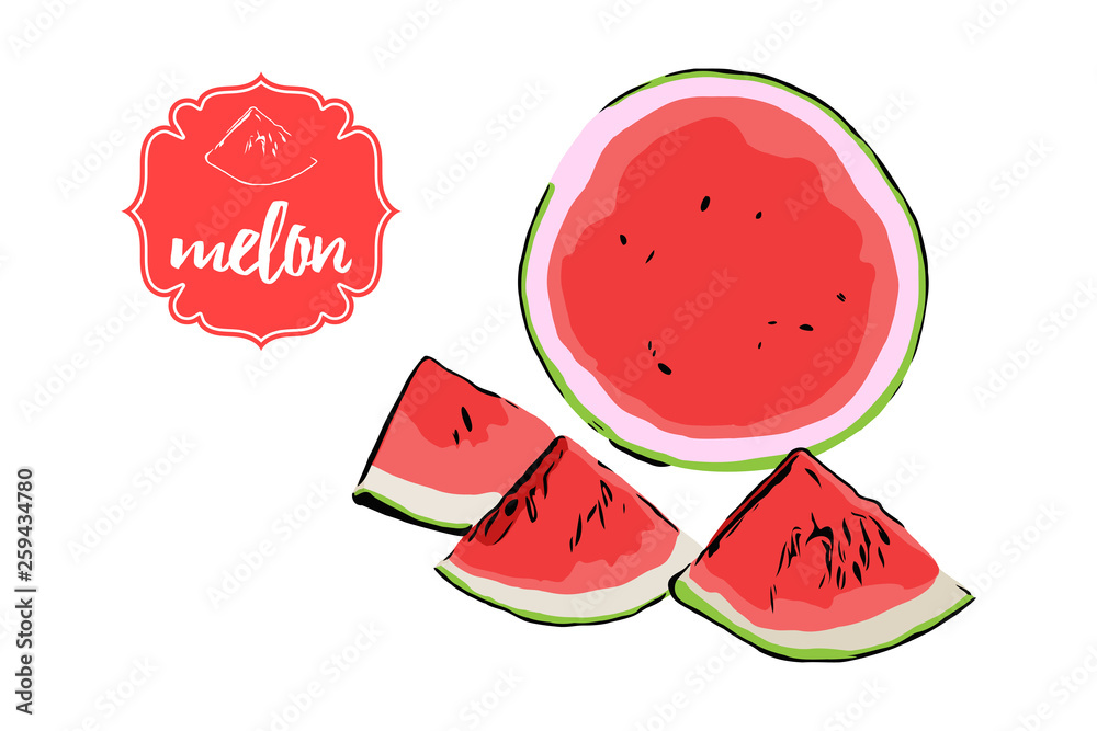 Three cartoon hand drawn melon pieces and half of watermelon isolated ...