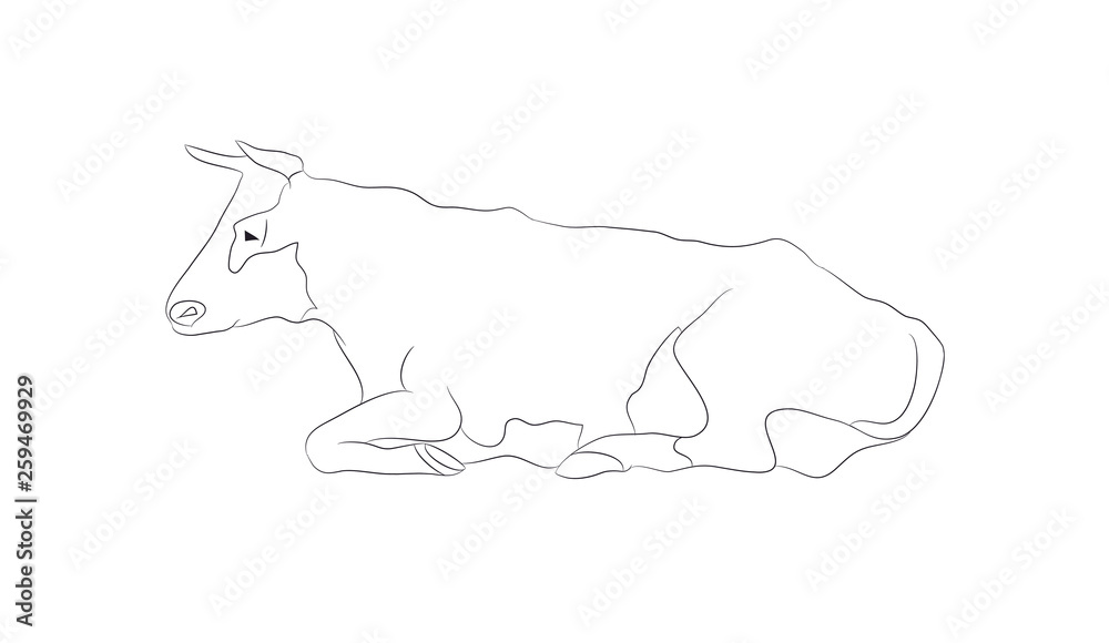 Vector illustration of a cow that lies, drawing by lines Stock Vector ...