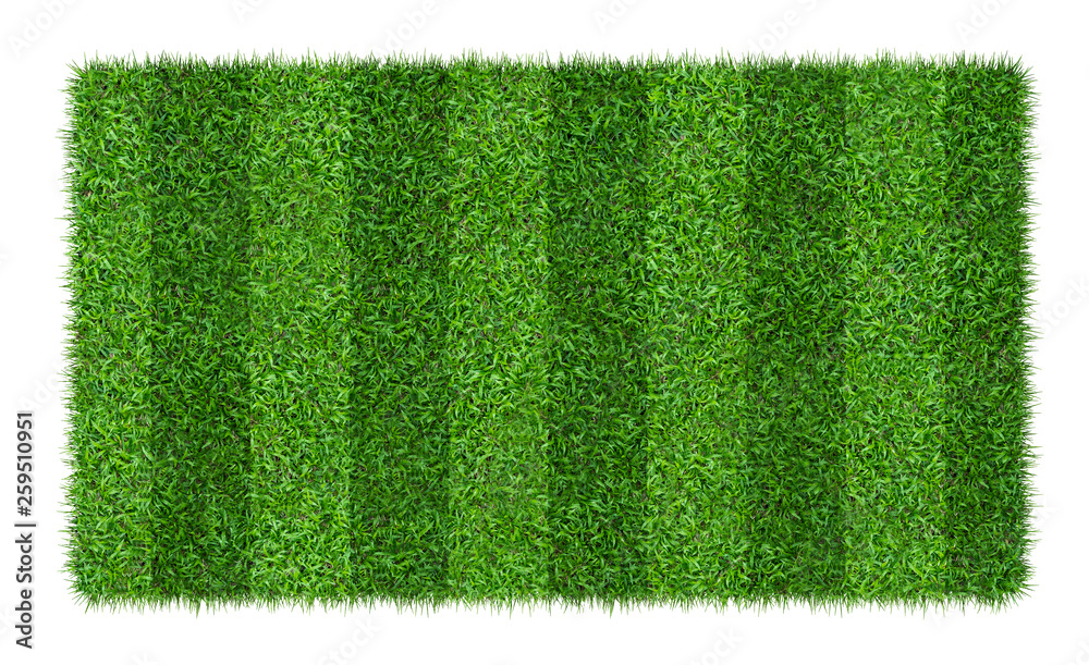 Green grass texture background for soccer and football sports. Green ...