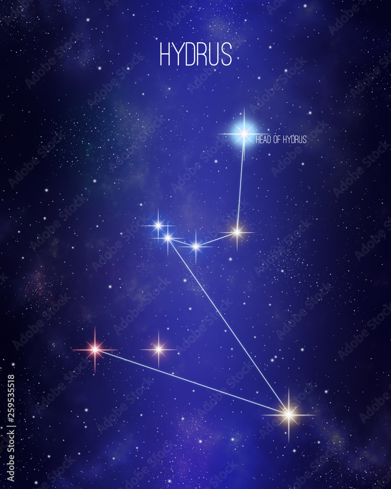 Hydrus the southern water snake constellation map on a starry space ...