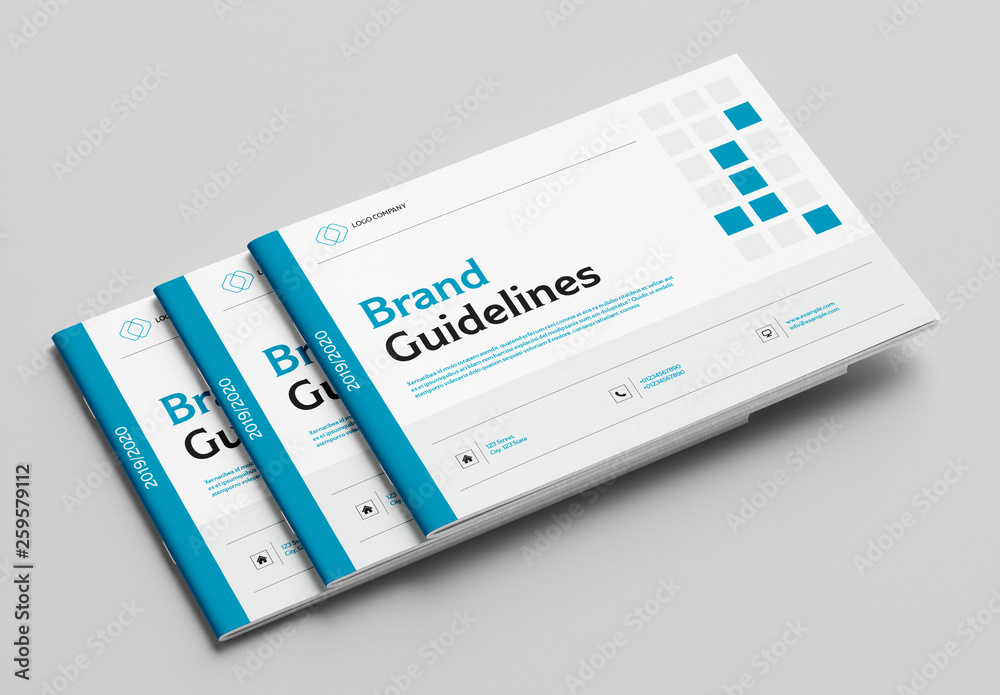 Brand Guidelines Booklet with Blue Accents Stock Template | Adobe Stock