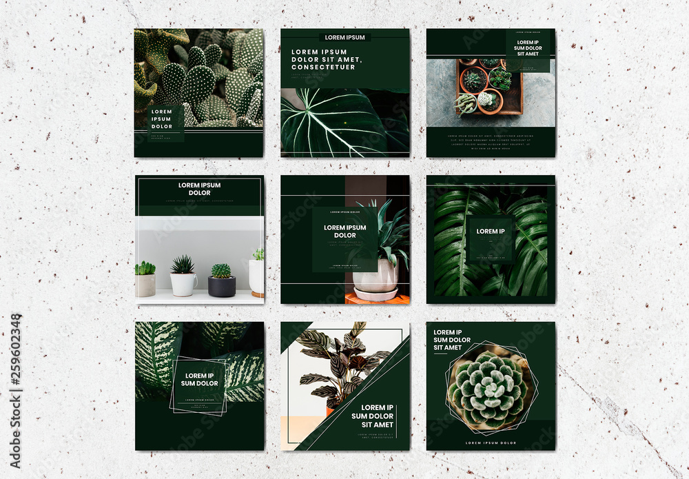 Social Media Post Layouts with Green Accents and Plant Imagery Stock ...