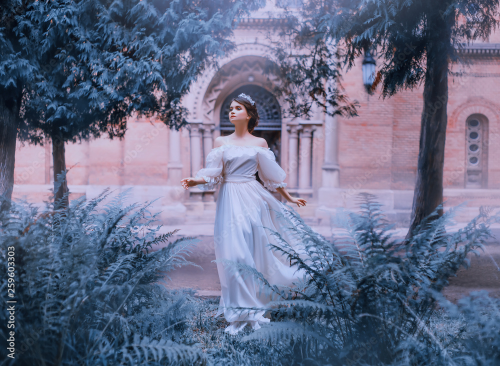 Beautiful Fairy Tale Princesses