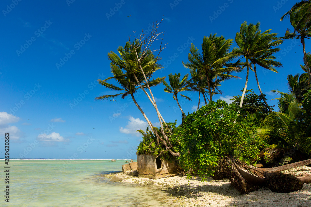 Palmyra Island World War Ii