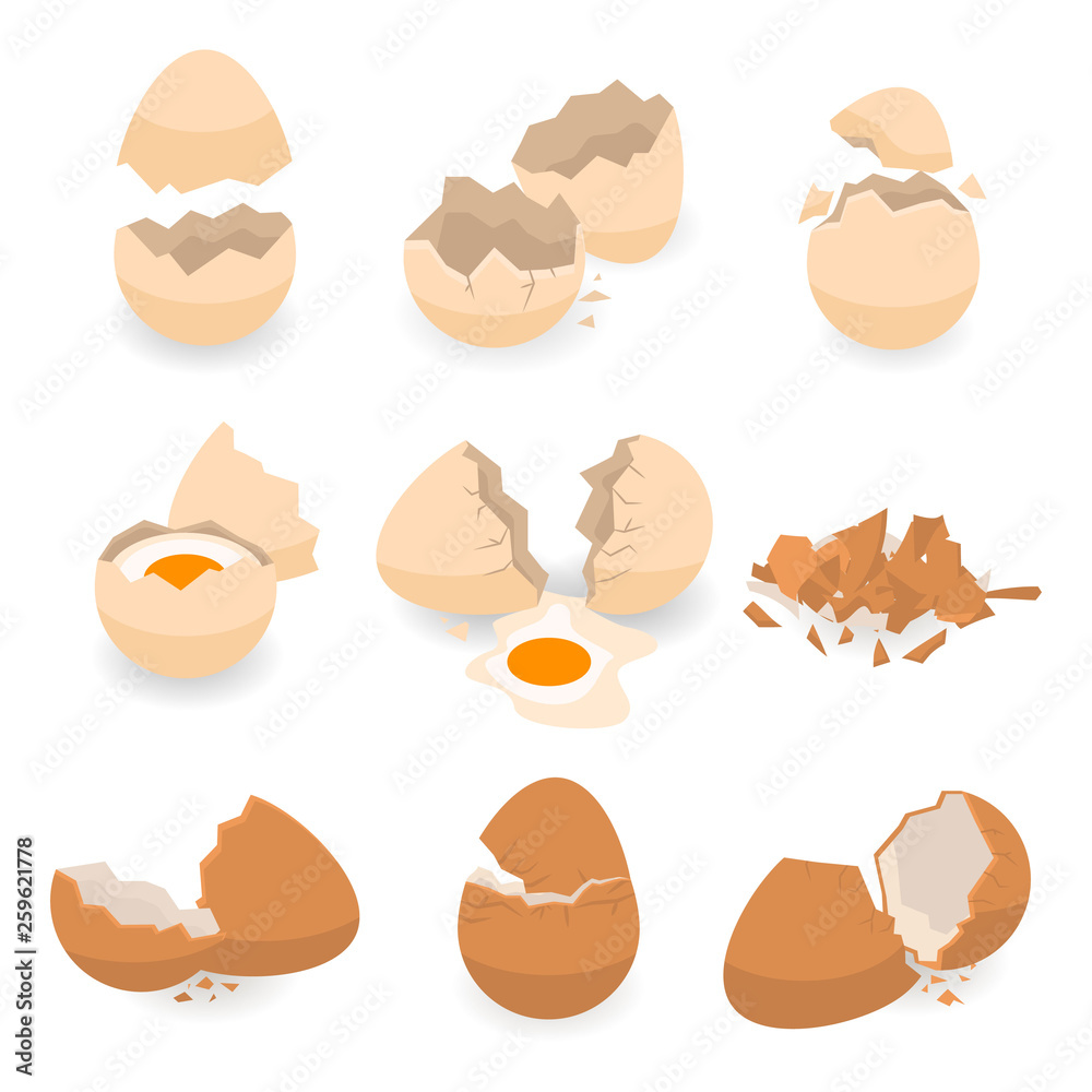 Eggshell icons set. Isometric set of eggshell vector icons for web ...