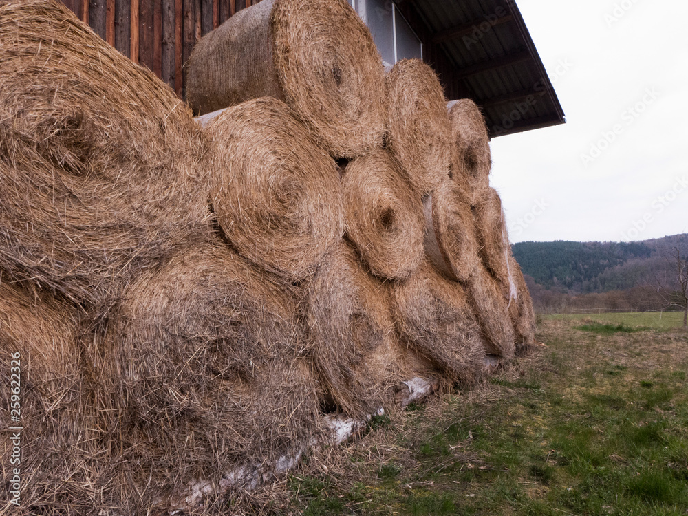 Runde Heuballen sind unter dem Vordach einer Scheune aufgeschichtet. Im ...