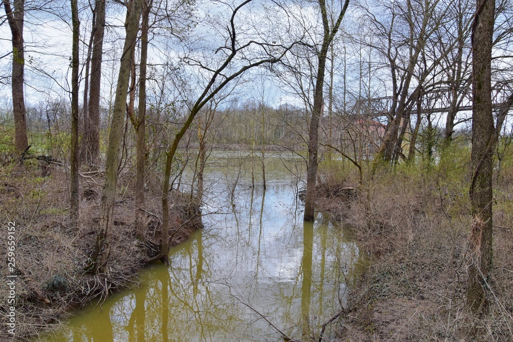 Views of Nature and Pathways along the Shelby Bottoms Greenway and ...