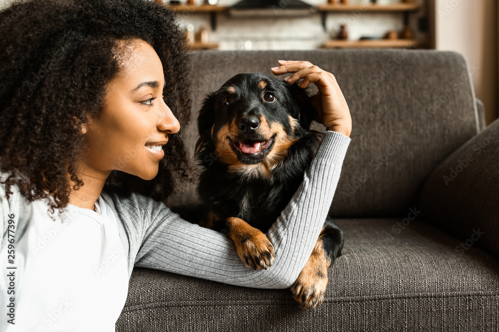 Beautiful African-American woman with cute dog at home Stock Photo ...