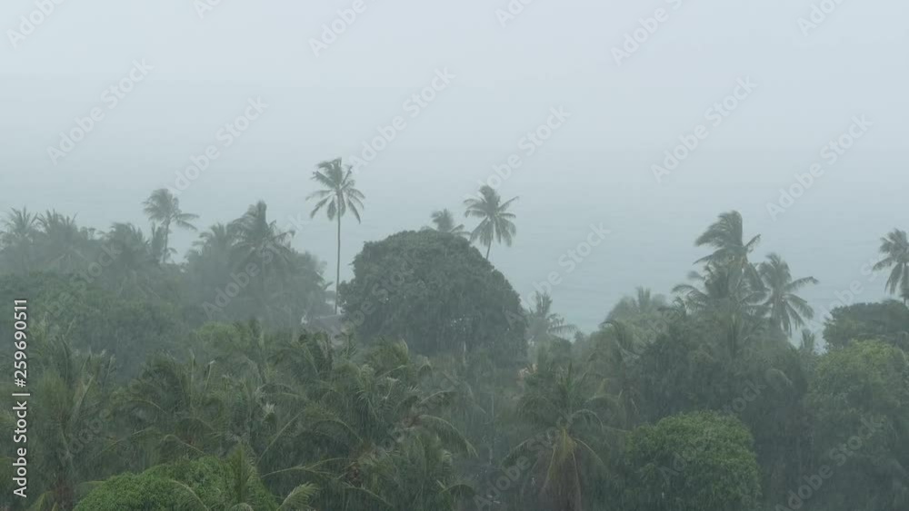 Seaside landscape during natural disaster hurricane. Strong cyclone ...