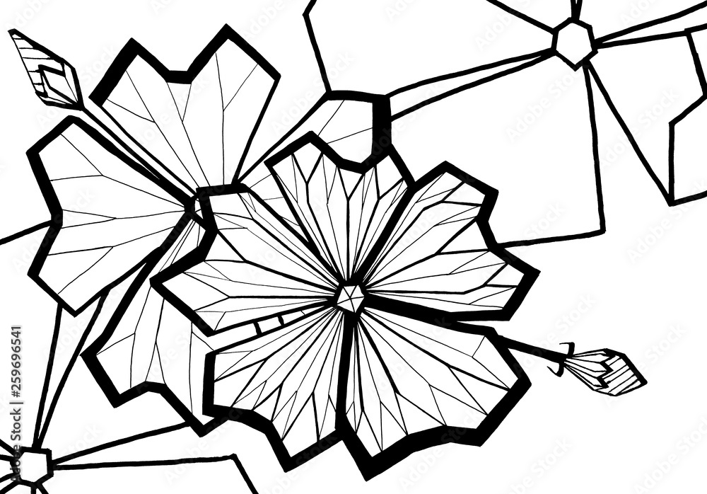 Simple Linear Patterns To Draw