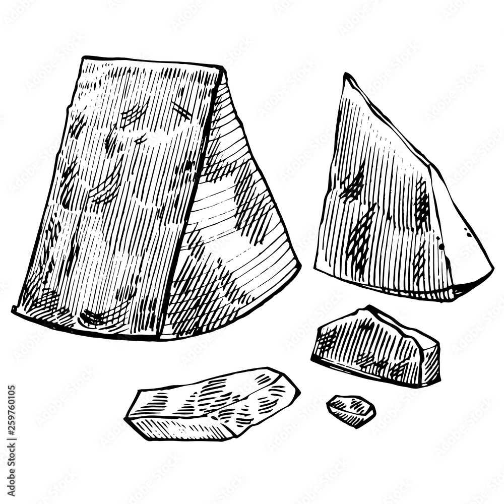 Parmesan cheese on white background. Hand drawn illustration of cheese ...