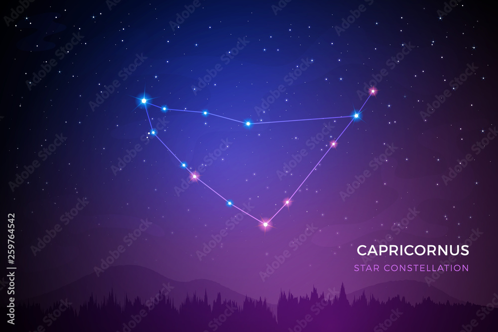 Capricornus star constellation on the beautiful night sky vector ...