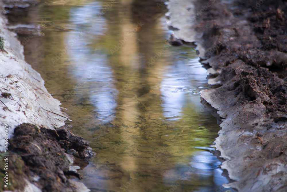 Natural background water. Forest stream. The beginning of spring. The ...
