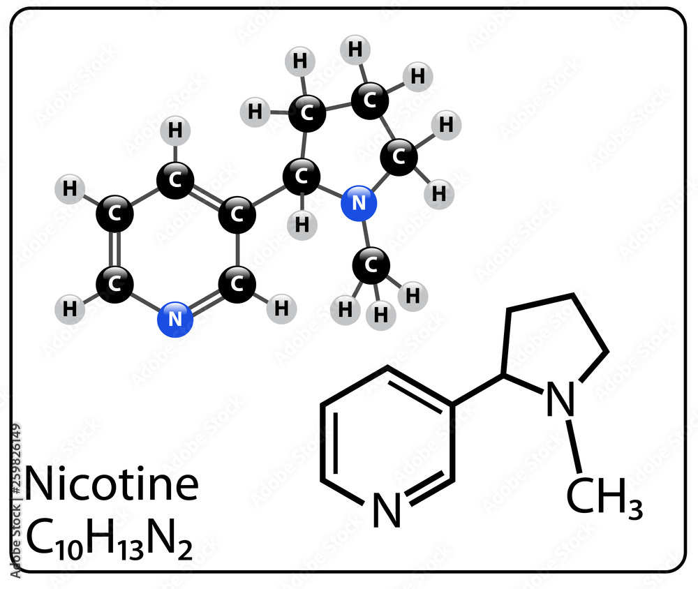 Nicotine Molecule Structure