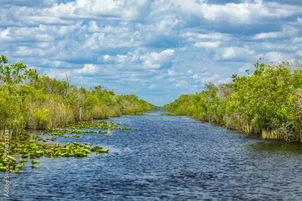 Everglades National Park. Swamps of Florida. Big Cypress National ...
