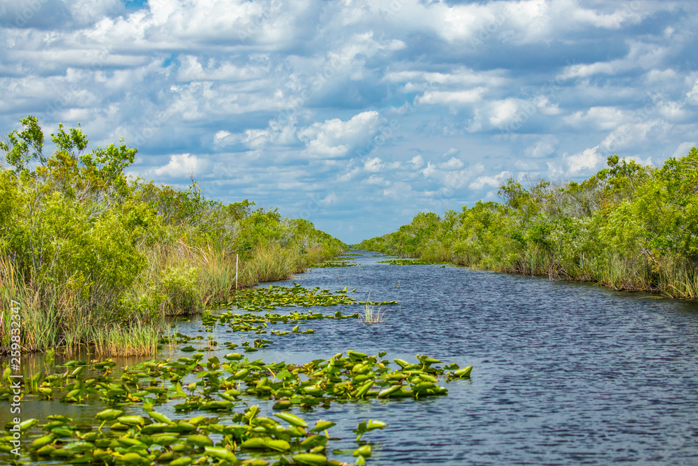 Everglades National Park. Swamps of Florida. Big Cypress National ...