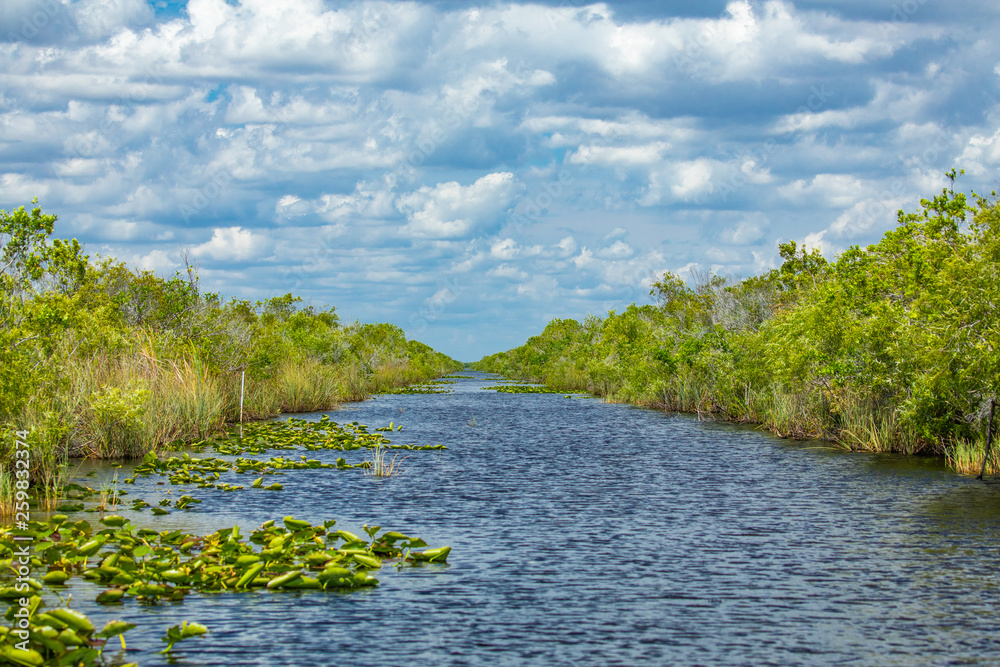 Everglades National Park. Swamps of Florida. Big Cypress National ...