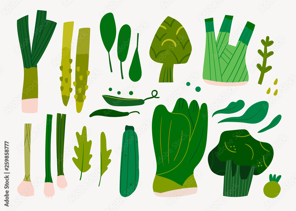 Various tasty healthy green vegetables and leaves. Hand drawn vector ...