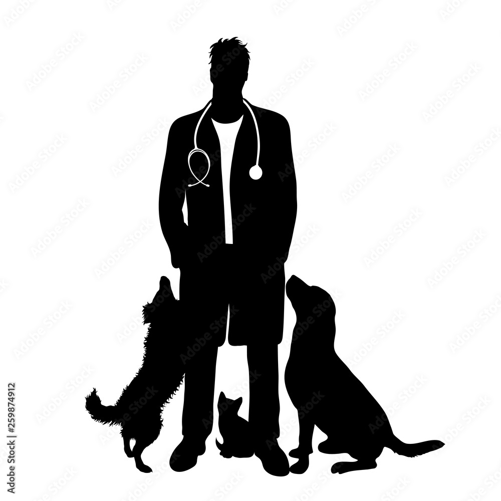 Vector silhouette of doctor veterinary with patient dog and cat on ...