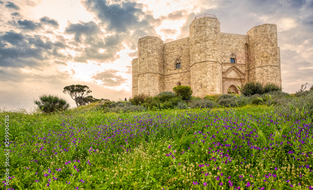 Castle of the Mountain (Castel del Monte) is a 13th-century castle ...